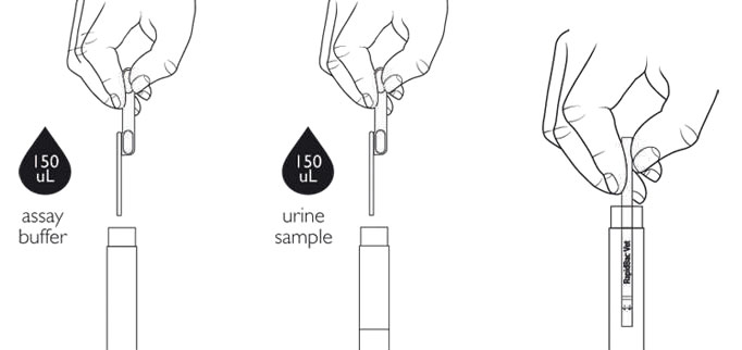 InSight Urinalysis RapidBac Vet & Flexicult Vet
